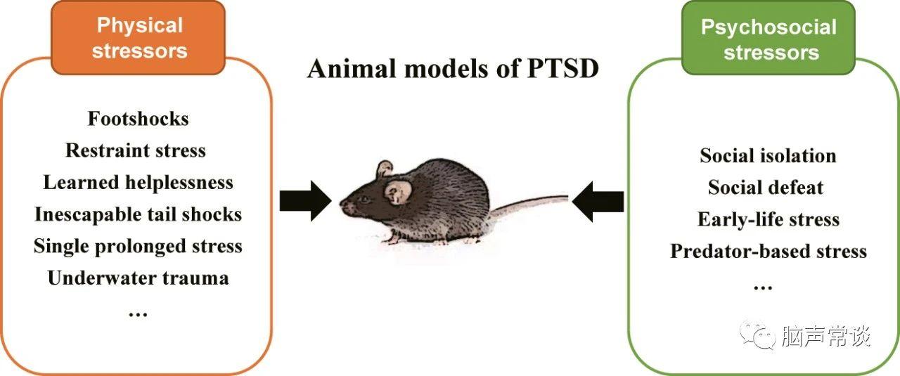 PTSD PTSD