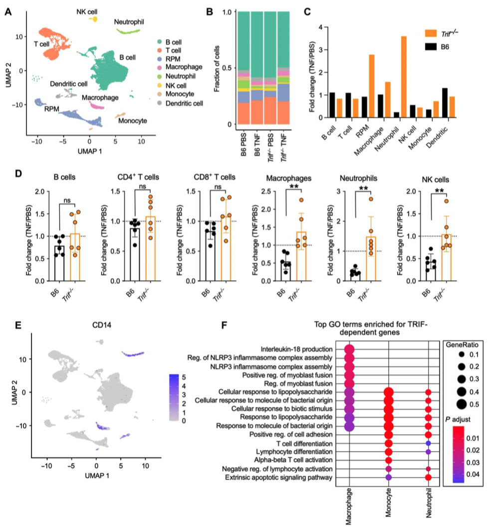 Science新子刊丨TRIFosome丨TNF 通过中性粒细胞和巨噬细胞的TRIF/CD14通路诱导死亡 - 知乎