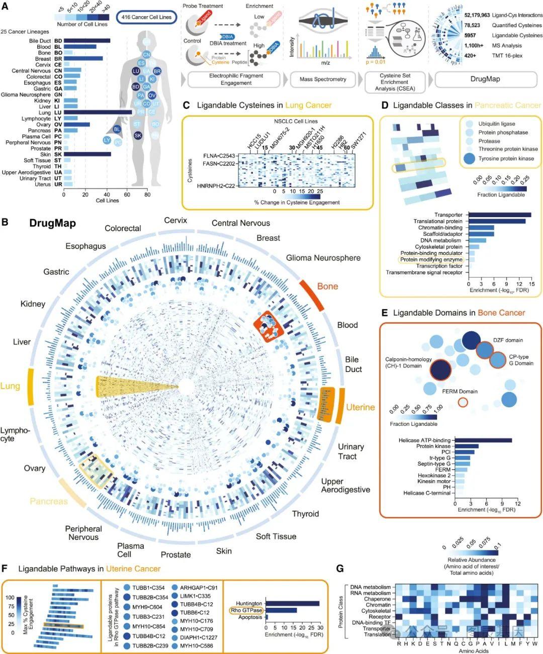 Cell ｜ 哈佛医学院开发DrugMap，系统识别可被共价抑制剂靶向的位点 - 知乎
