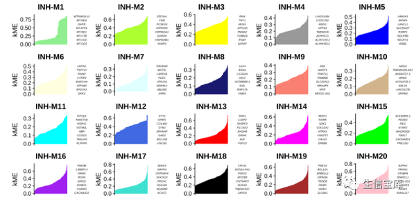 SCS【28】单细胞转录组加权基因共表达网络分析(hdWGCNA) - 知乎