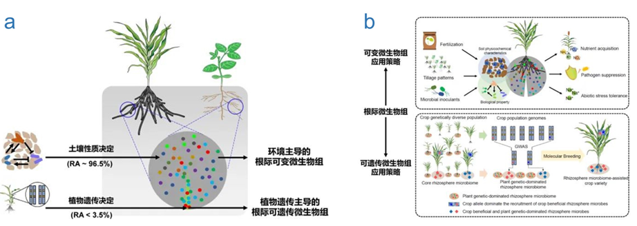 更新 | 植物调控微生物组相关的M基因（Microbiome Gene）研究进展与思考 - 知乎