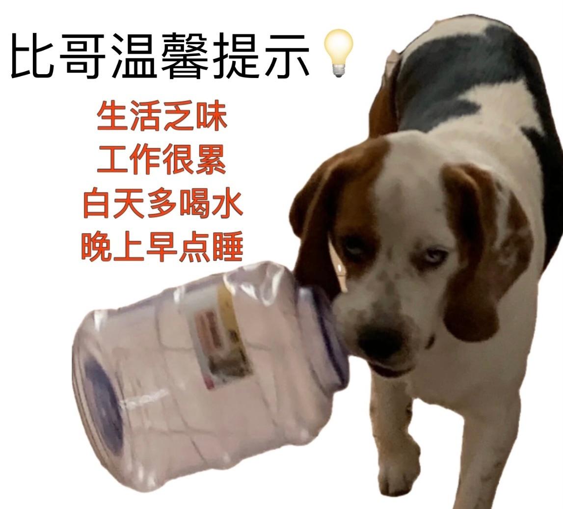 80张最近很火的发疯表情包|精神状态|无水印表情包 - 知乎