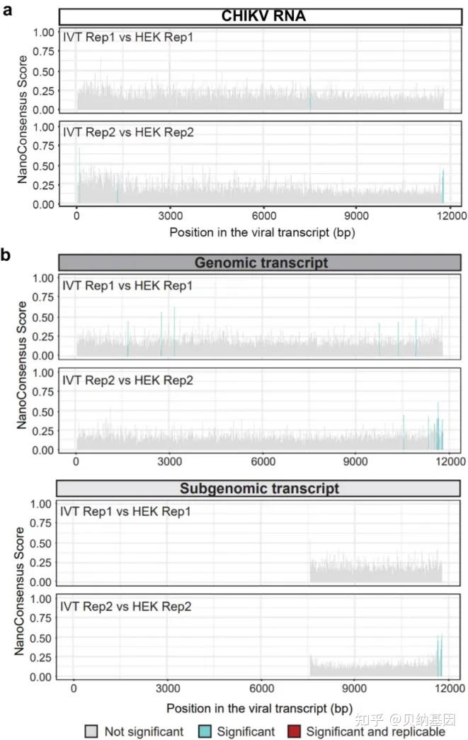 揭秘病毒生命周期的分子细节：Direct RNA测序技术的全面应用 - 知乎