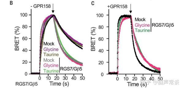 情绪相关受体-GPR158的发现可能成为抗抑郁新靶点 - 知乎