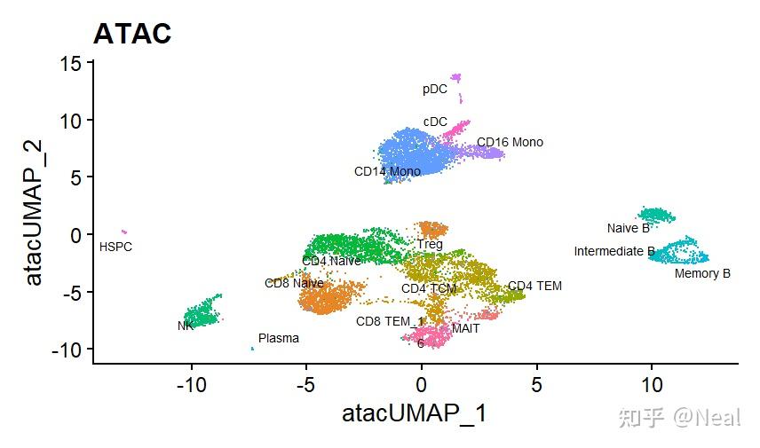 单细胞测序分析：Seurat实操 案例5-2__加权最近邻分析（10x Multiome: RNA + ATAC） - 知乎