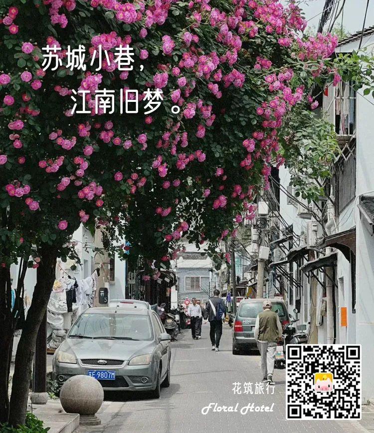 花筑奢 | 自驾2.5h可达的江苏小城！景色比南京小众，老底子美食堪称一绝，不费钱不需攻略，六月去刚好~（一） - 知乎