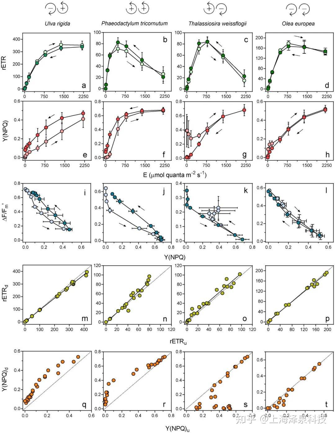滞后光曲线：表征光合光响应时间依赖性的新方法 - 知乎
