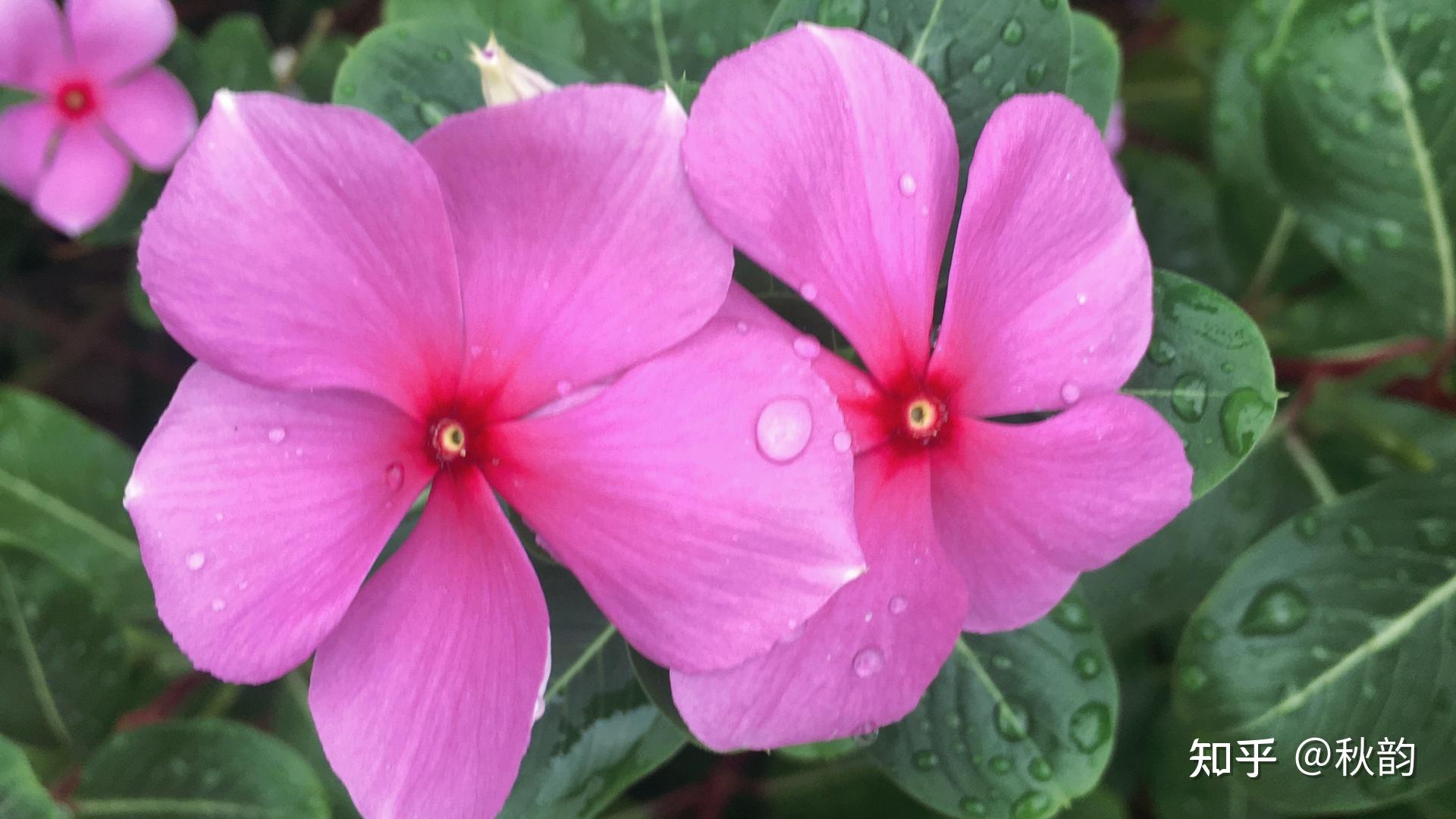 “A as well as B”结构的常用用法总结 - 知乎