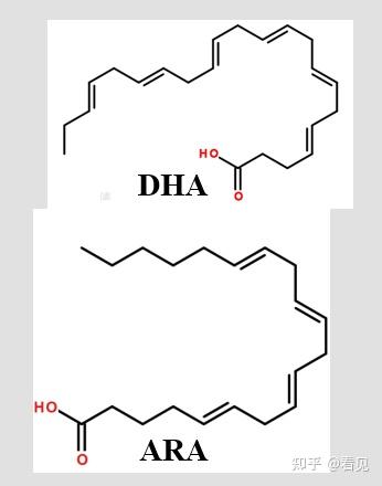 关于DHA的五个解答，看完这篇你就懂了！ - 知乎