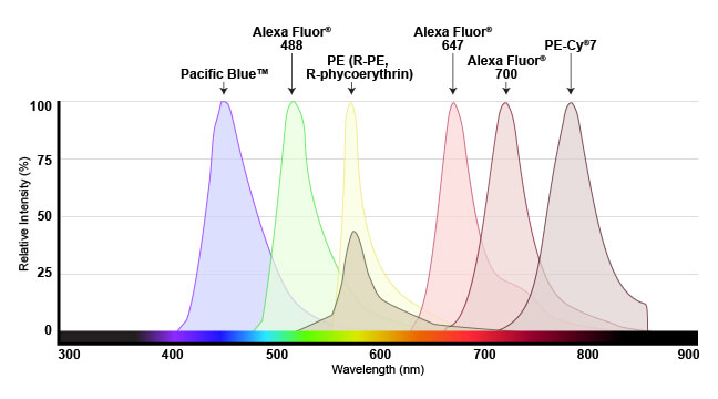 流式细胞术（Flow Cytometry）抗体的选择 - 知乎