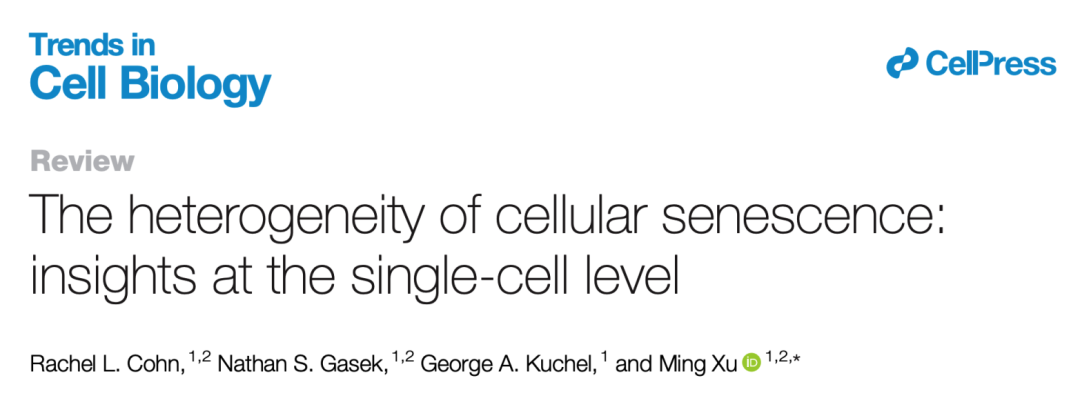 Trends Cell Biol︱徐铭团队从单细胞层面评述衰老细胞的异质性及研究进展 - 知乎