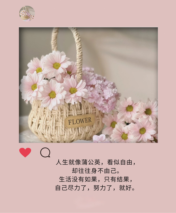 10句精致穿搭文案,发圈秒赞秒抱走!(日签水印已去除) 知乎