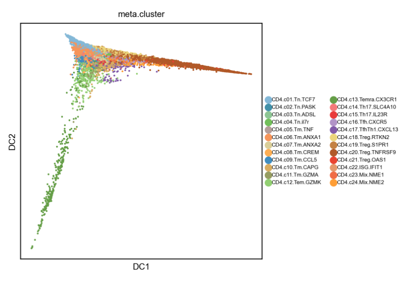 单细胞数据如何实现Diffmap聚类和拟时序分析？ - 知乎