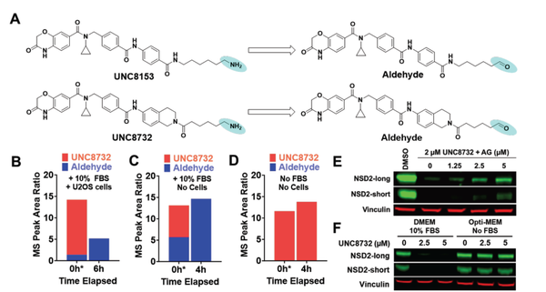 打破传统E3泛素连接酶，挖掘新型E3泛素连接酶FBXO22的NSD2降解剂 - 知乎