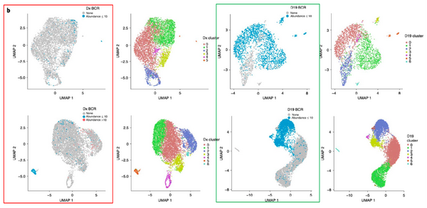 Masterpiece｜另辟蹊径，用BCR克隆多样性识别肿瘤细胞 - 知乎