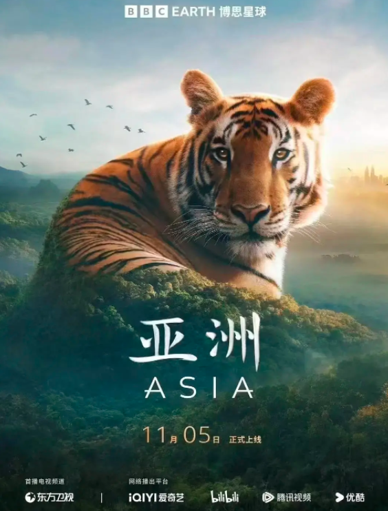 终于拍了！BBC最强的双语科普纪录片，必须码住！ - 知乎
