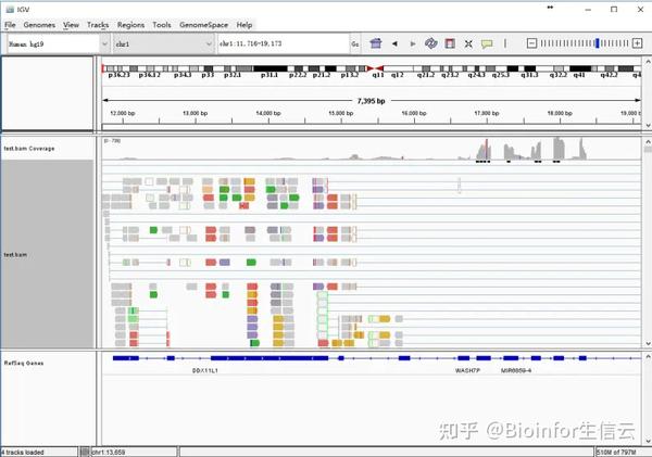 重测序分析（4）使用GATK进行SNP和INDEL检测 - 知乎