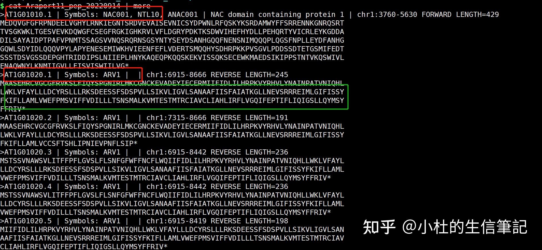 基于TBtools做基因家族分析教程 （全） - 知乎