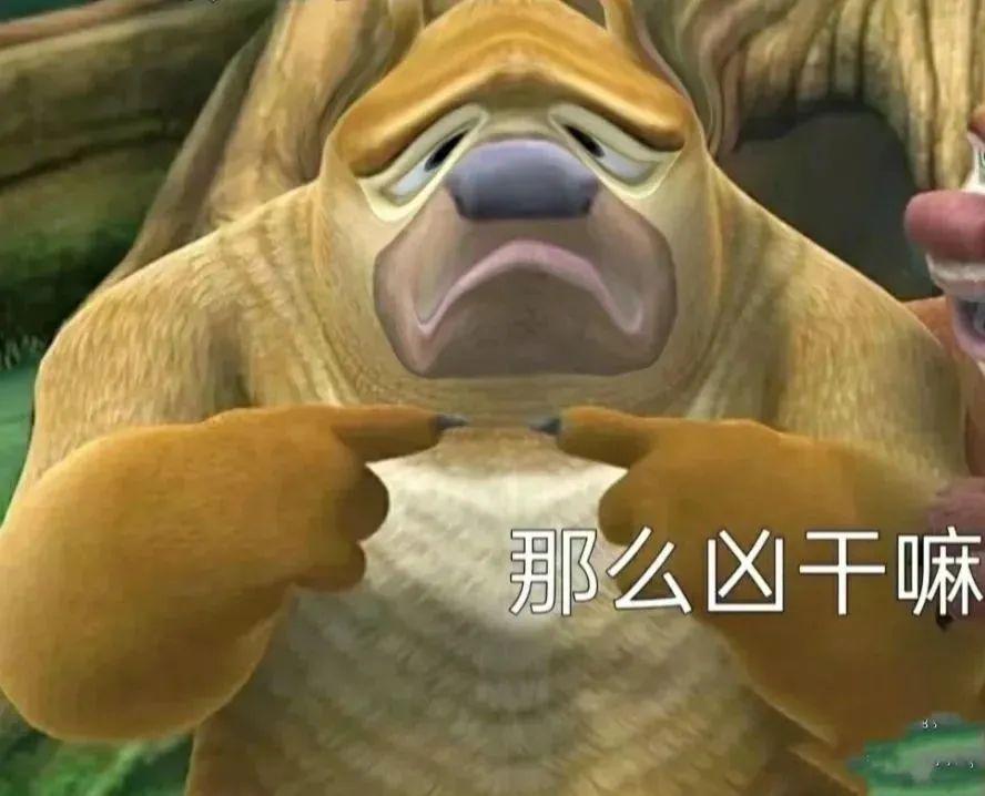 467张熊大熊二表情包 - 知乎