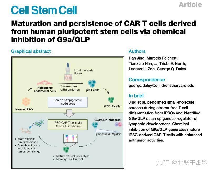 Cell子刊：诱导多能干细胞iPSC来源的CAR-T细胞抗肿瘤效果更强、持久性更高！ - 知乎