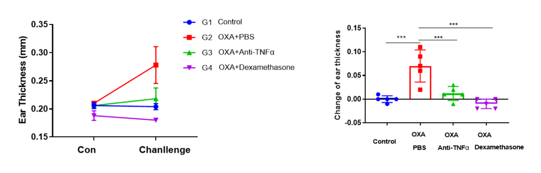 迟发性超敏反应（DTH）疾病模型 - 知乎