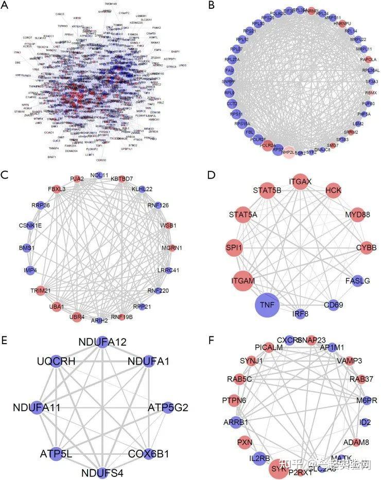 3+ PPI与WGCNA的新路线 - 知乎