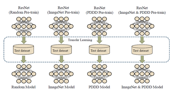 PDDD-PreTrain：一系列常用的预训练模型支持基于图像的植物病害诊断 - 知乎