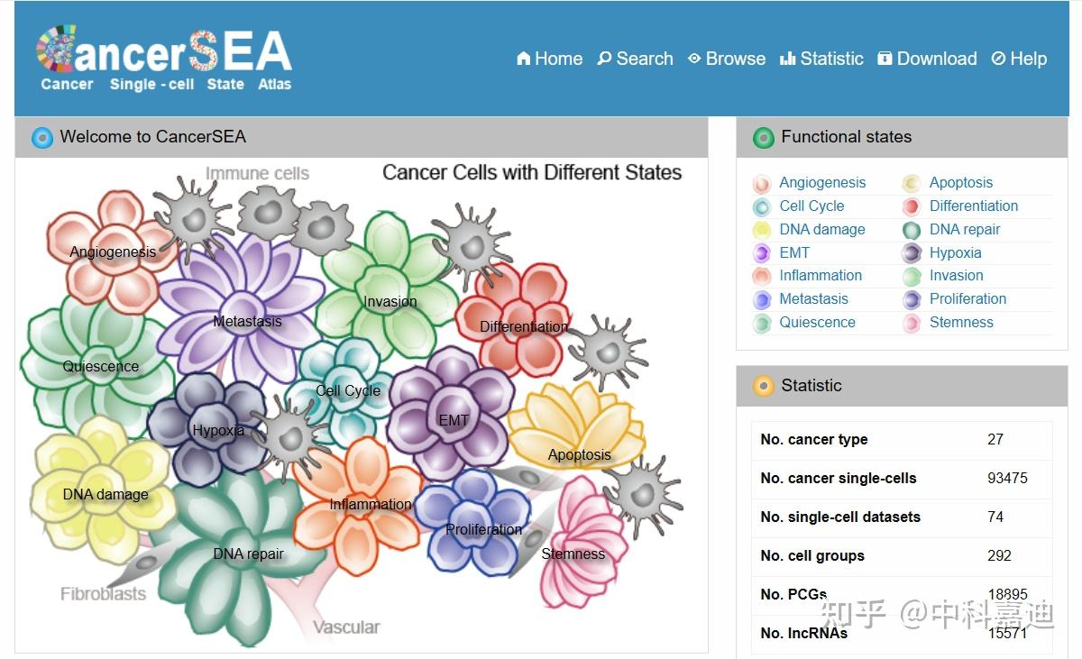 单细胞数据库有哪些？这9个你一定要收藏！ - 知乎