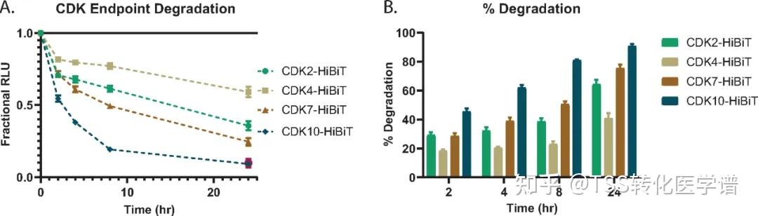 【Jove】HiBiT技术-对靶向蛋白降解分子进行高通量细胞活性分析 - 知乎