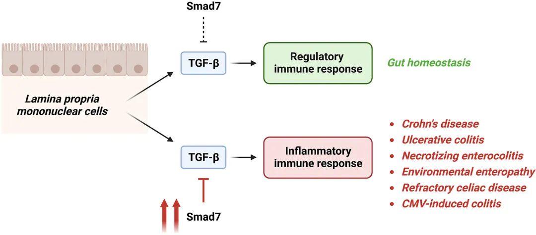调节炎症的信号素（SEMA） - 知乎