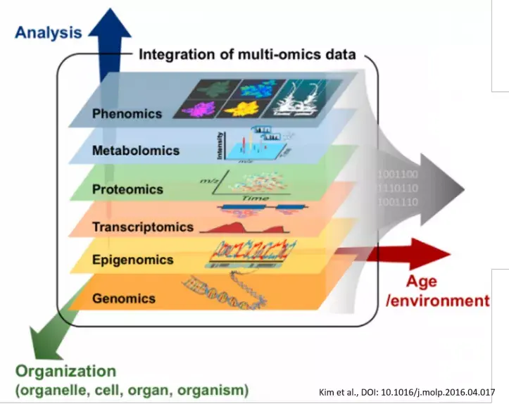 近年来，蛋白质组学好像越来越火，但研究蛋白质组学有何意义，一般用于什么领域呢？ - 知乎