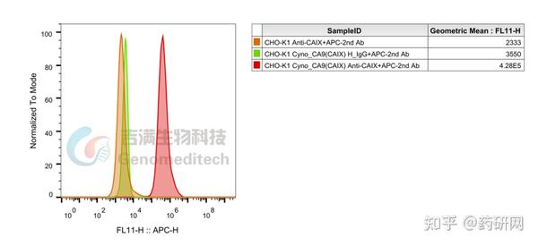 CA9(CAIX): 缺氧实体瘤中的高表达靶点 - 知乎