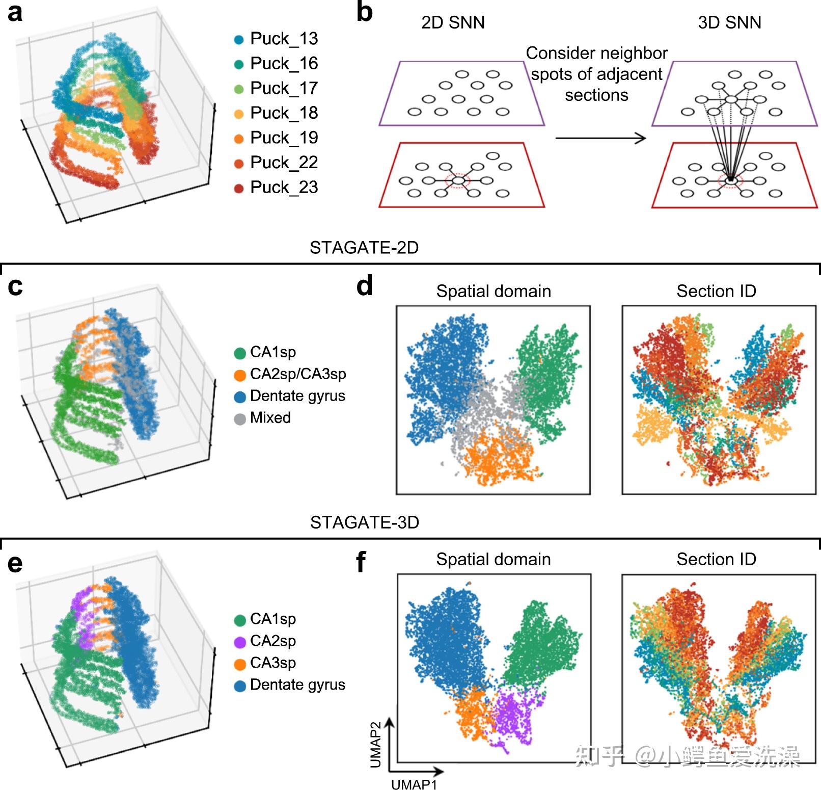 STAGATE 论文阅读整理 - 知乎