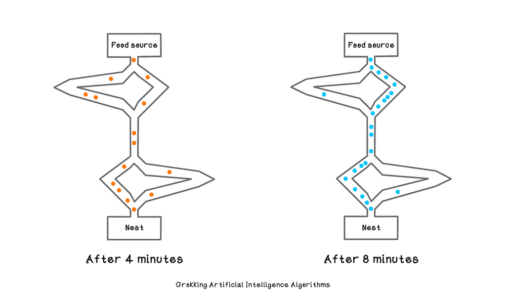 Python35 智能优化算法之蚁群算法ACO - 知乎
