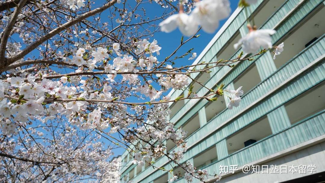 院校科普｜九州大学——24年QS世界大学排名TOP200、历史悠久的综合国立大学！ - 知乎