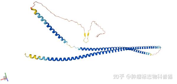 肿瘤标志物科普系列--细胞角蛋白19片段（Cyfra21-1）偏高原因分析 - 知乎