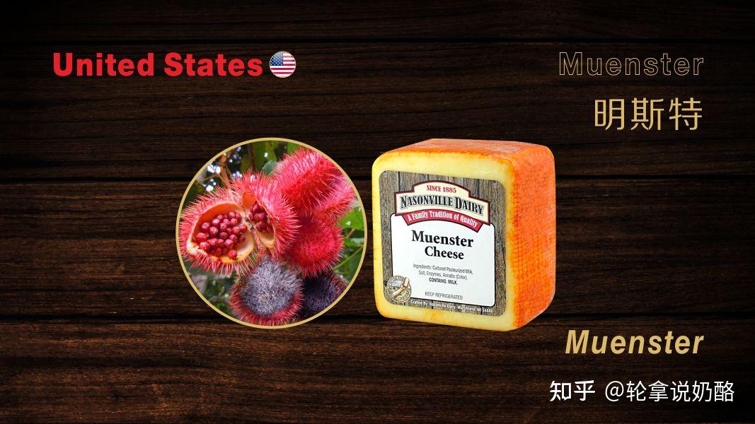 轮拿说奶酪 | 美国起司 Muenster Cheese 明斯特奶酪 - 知乎