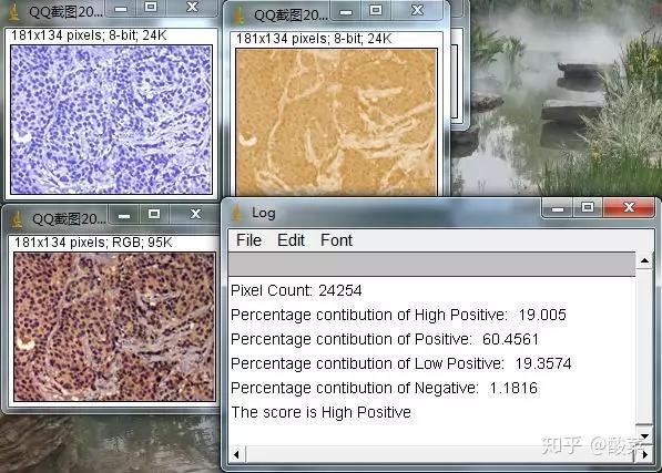 10步填上免疫组织化学 (IHC) 的坑 - 知乎