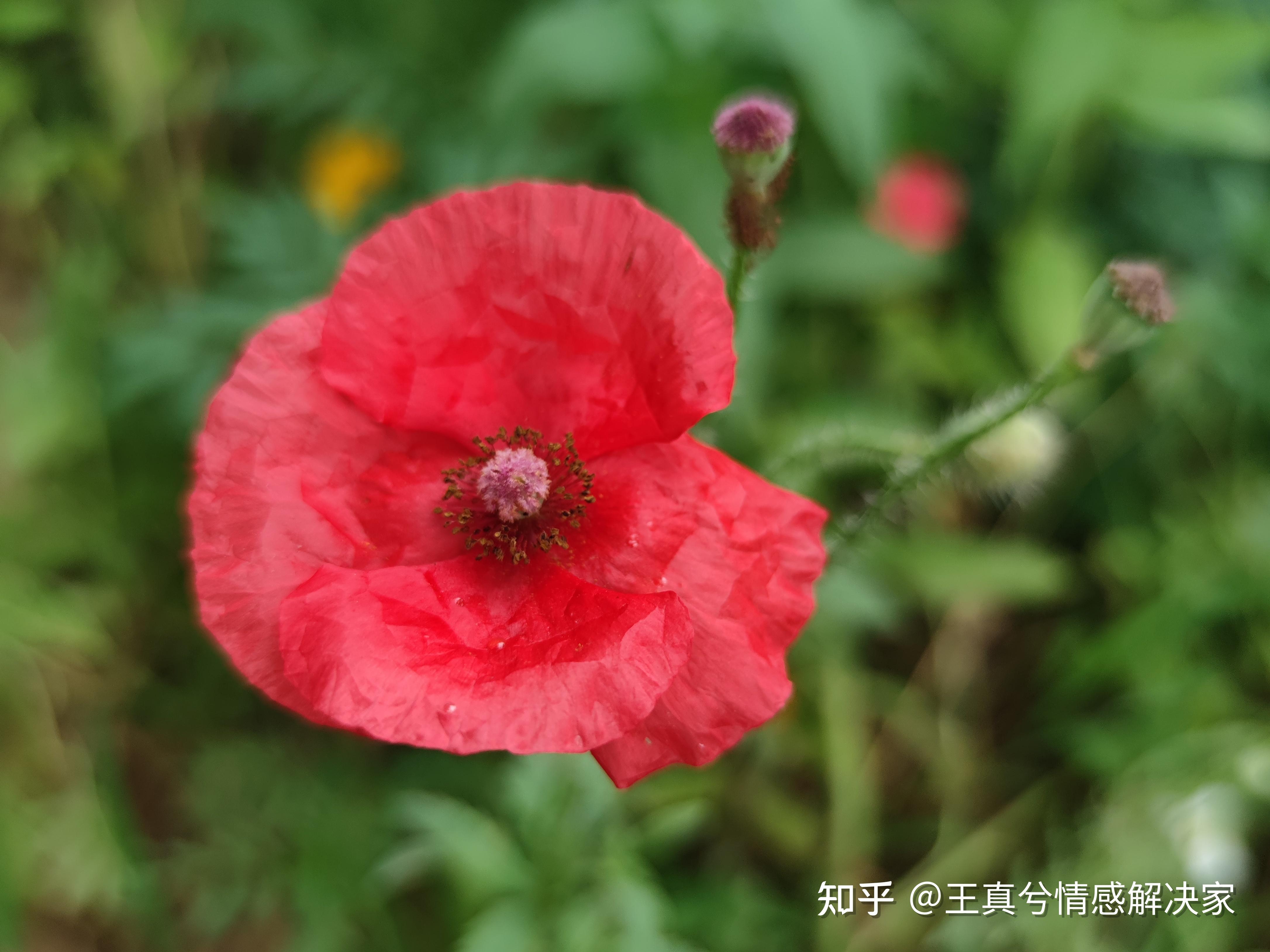 如何认清 情场高手 的真面目！！！ 知乎