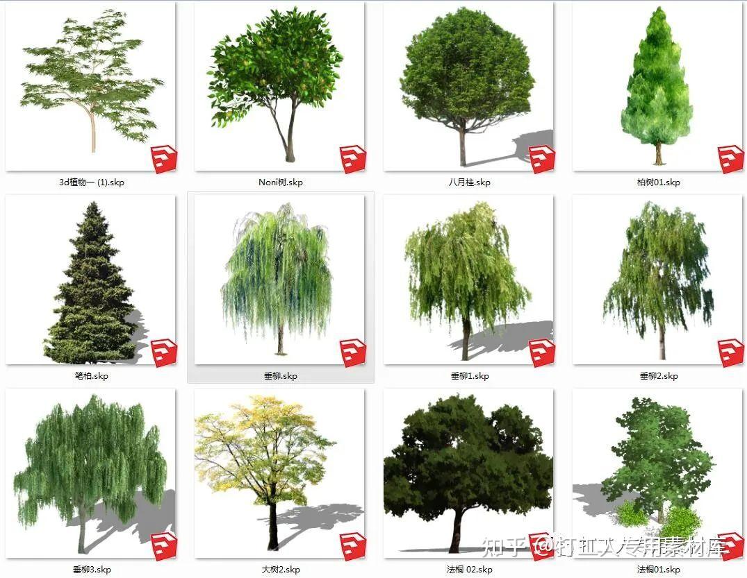 超全SU常用植物库素材大合集（2D、3D的写实风手绘风树木、灌木、花卉、盆栽均有） - 知乎