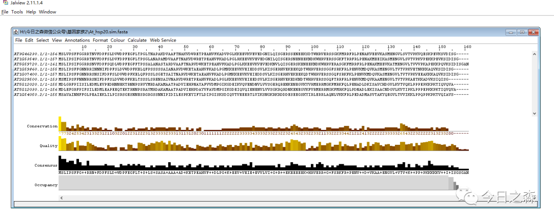 详解多序列比对软件Jalview的使用方法，美化-编辑-自定义设计 - 知乎