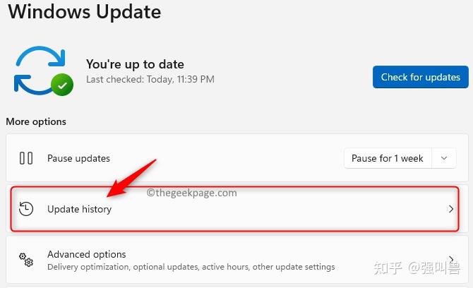0xc0000020 on Windows 11/10 - 知乎