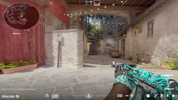 CS2道具：闪光弹也要改？变黑屏弹？你支持吗？ - 知乎