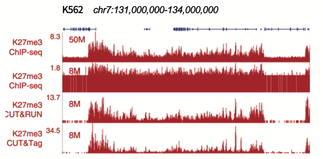 景杰生物CUT&Tag科研服务上线啦~ - 知乎