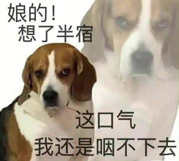 80张最近很火的发疯表情包|精神状态|无水印表情包 - 知乎
