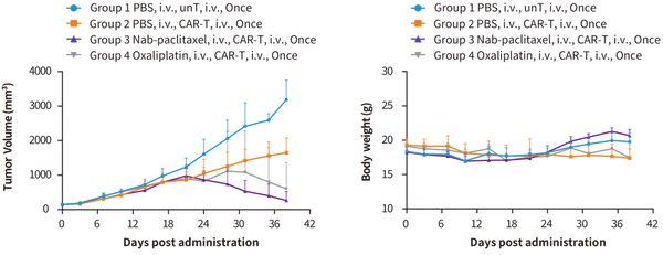 关于CDX模型，这些知识点你必须了解！ - 知乎