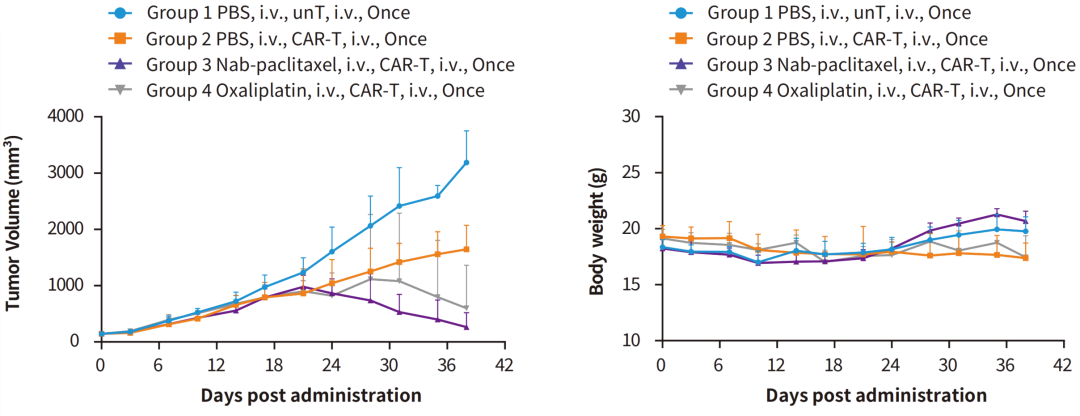 关于CDX模型，这些知识点你必须了解！ - 知乎