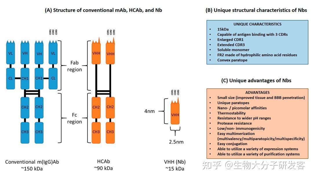 关注I 纳米抗体VHH：结构、生产和应用综述 - 知乎