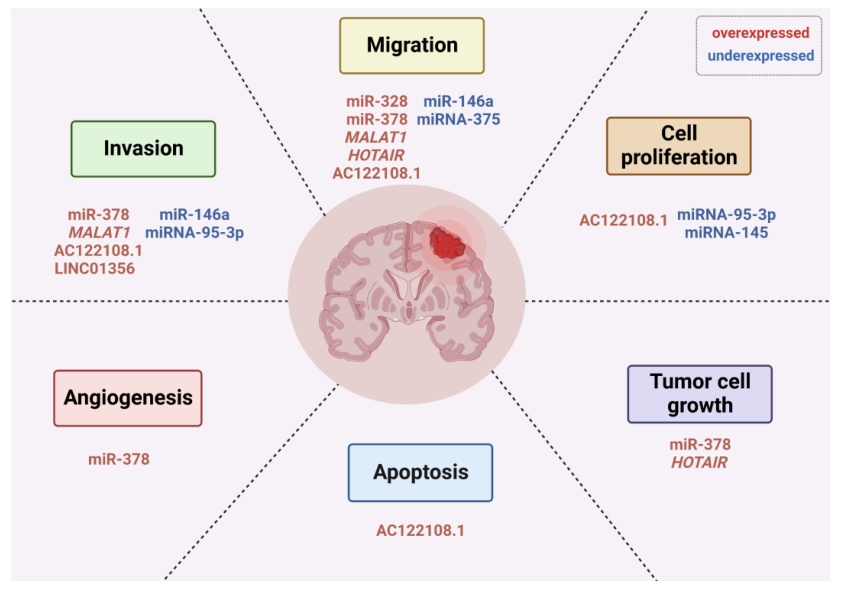 最新研究进展！肺癌脑转移的分子图谱 - 知乎