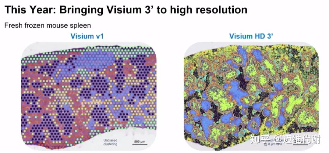 重磅首发|不限物种+单细胞分辨率！Visium HD 3'空间转录组预售！ - 知乎
